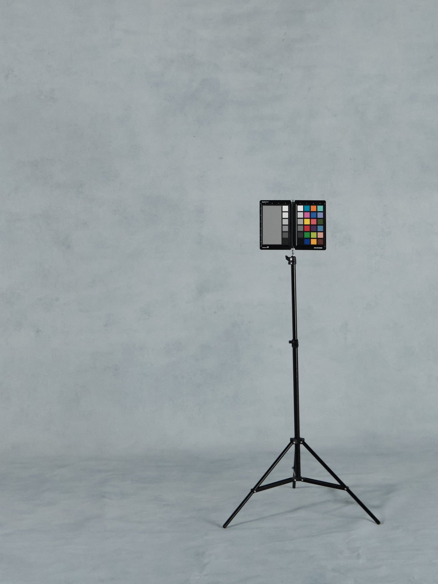Vivienne - 0701b — blackhurst and co.