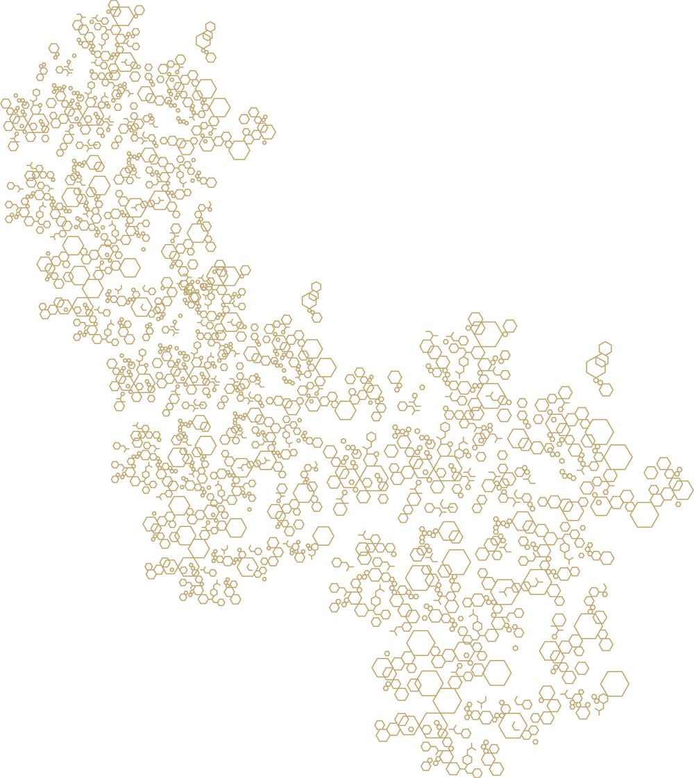 Design Studio — Benson Method