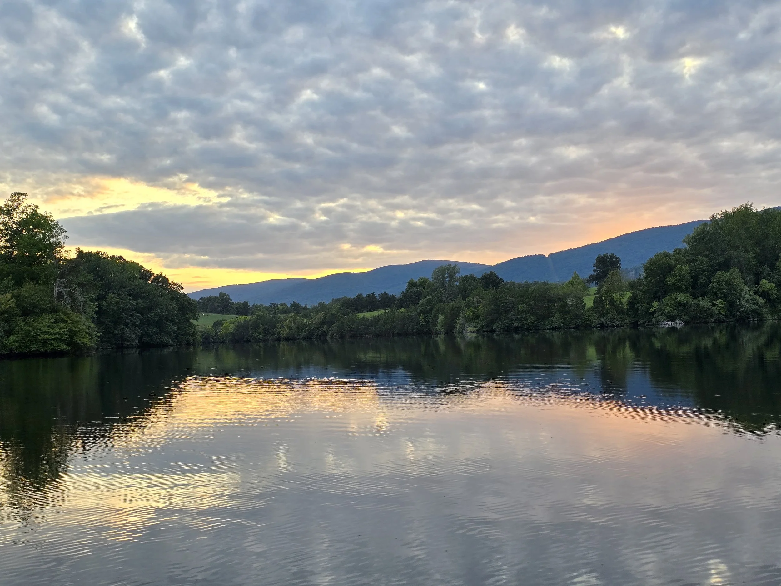 Elemental Experiences