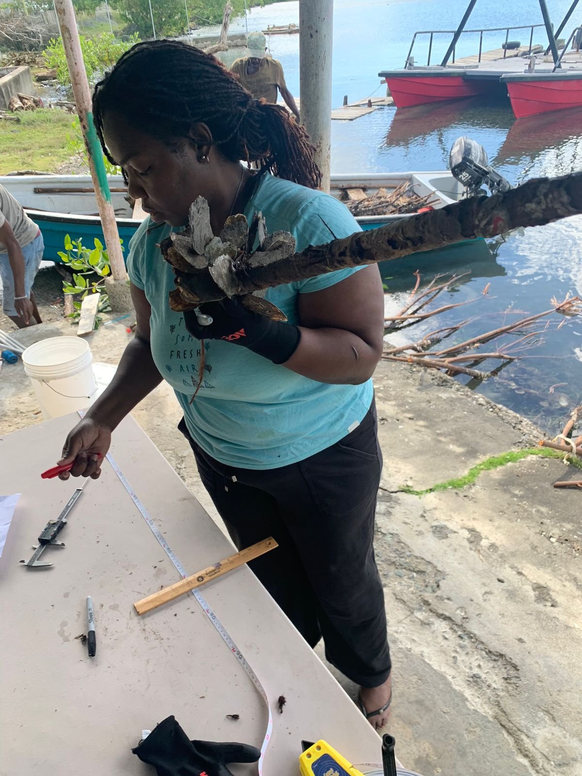 Caribbean Aquaculture Education & Innovation Hub Caribbean Aquaculture Education & Innovation Hub