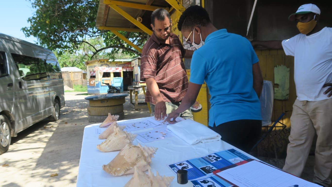 Caribbean Aquaculture Education & Innovation Hub Caribbean Aquaculture Education & Innovation Hub
