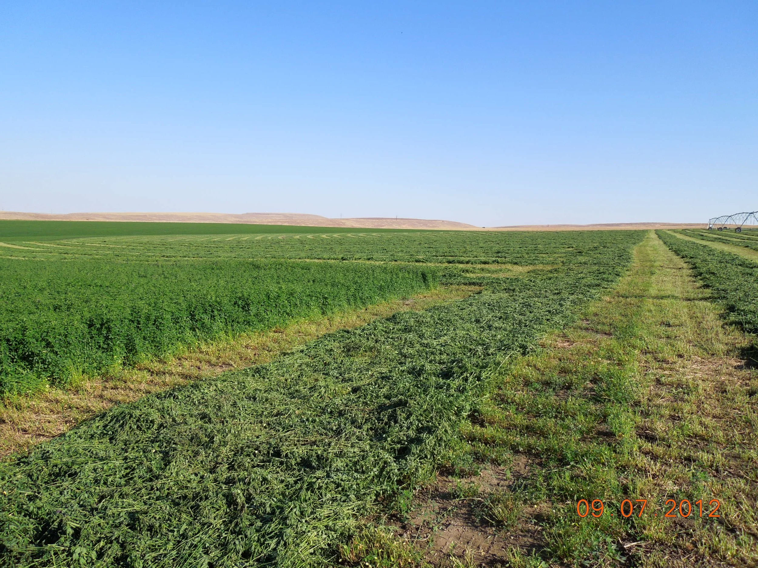 Cornerstone Farms JV