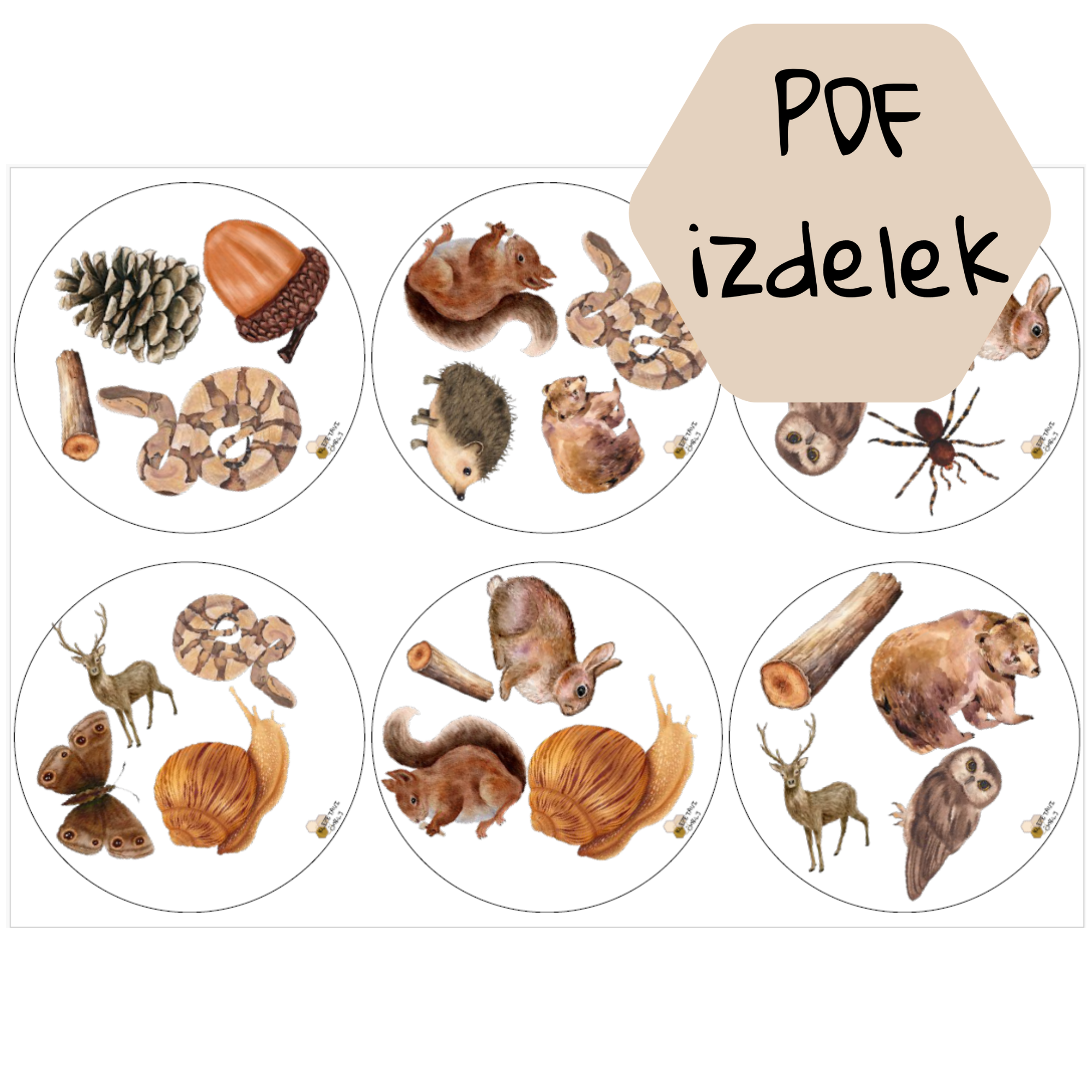 GOZDNI POHAJAČI + MORSKI RAZISKOVALCI — klepetavi ČMRLJ