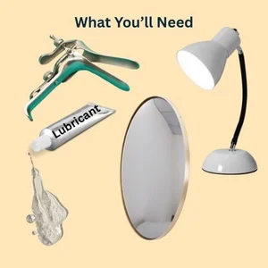 How to See Your Own Cervix: A Step-by-Step Visual Guide — Visit Fertility