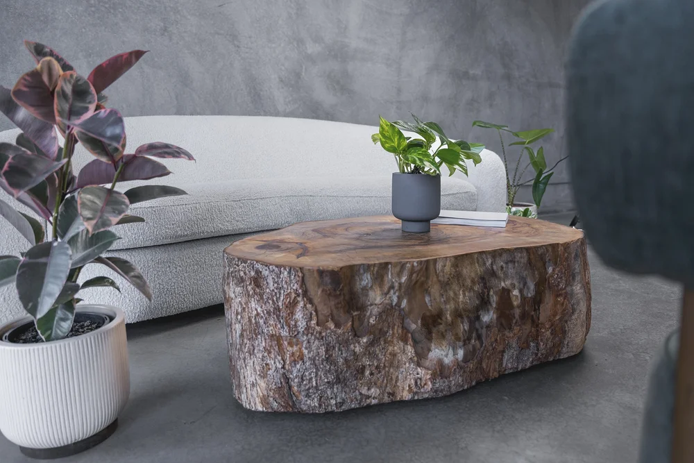 Sunshine House Studio