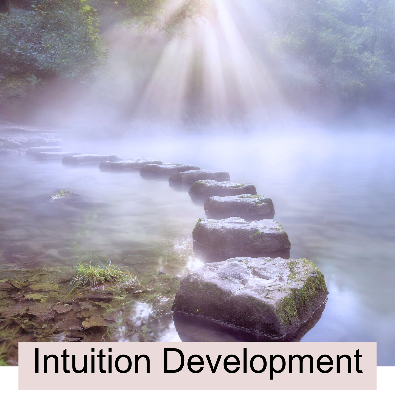 Tools for Emotional Wellbeing: Journal Prompts | Shadow Work ...