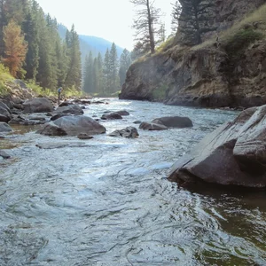 What Does A Water Dream Mean? | Water Dream Interpretations & Tips for ...