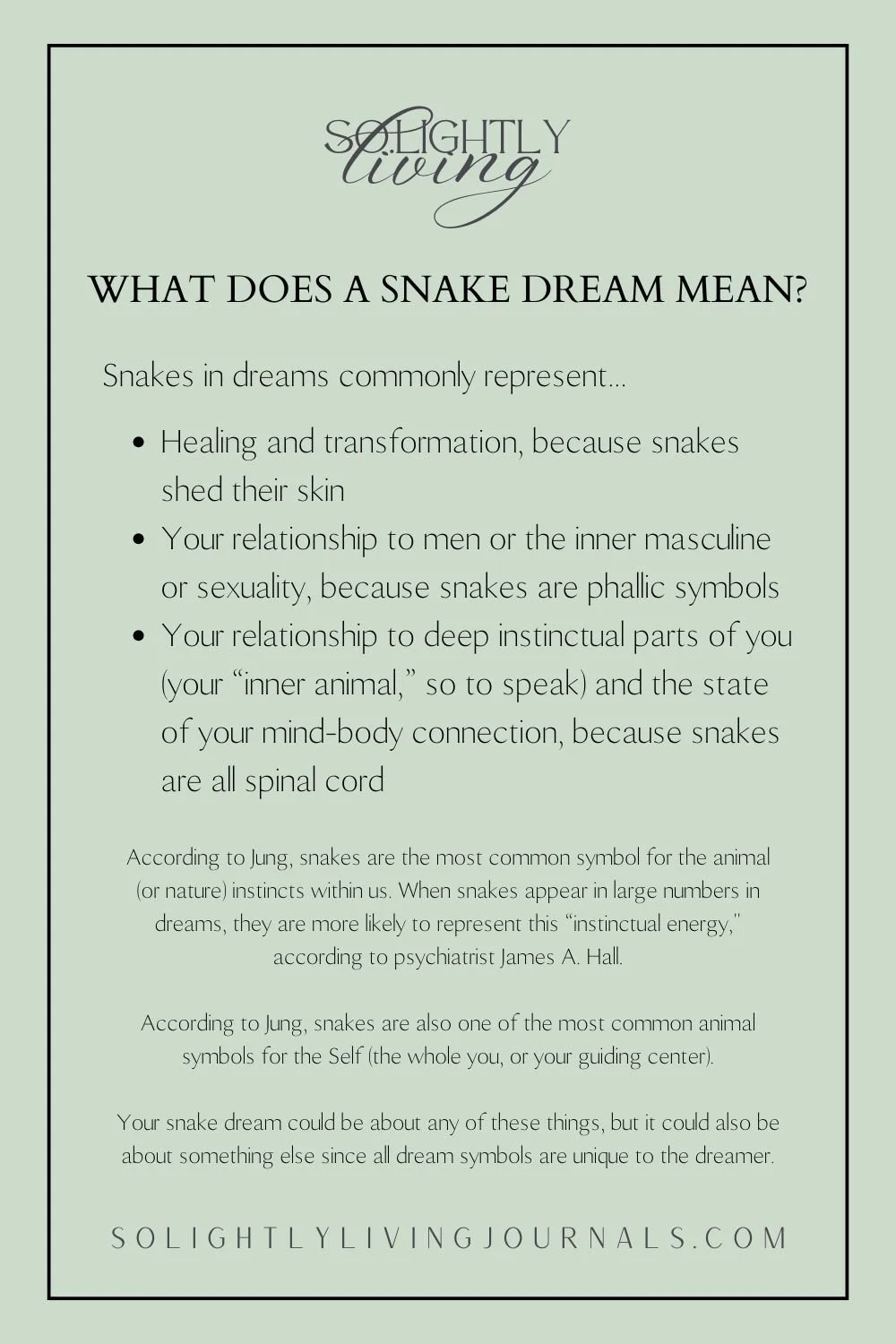 What Does A Snake Dream Mean? | Tips For Interpreting Your Snake Dream