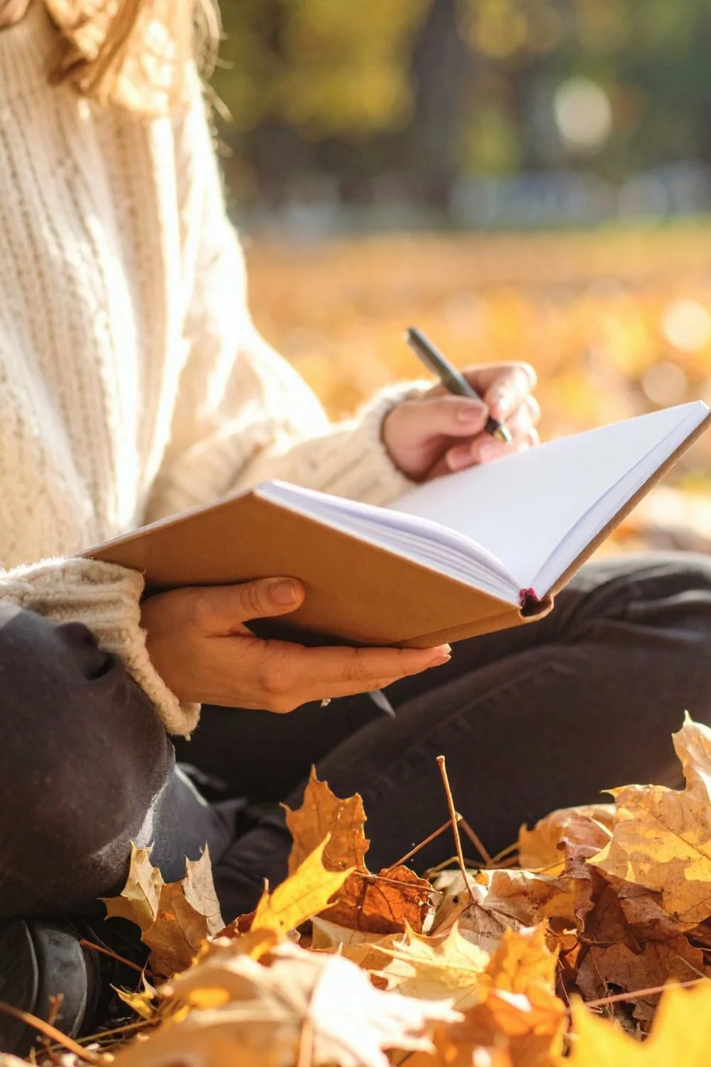 Journal Prompts For November | Daily Journal Prompts