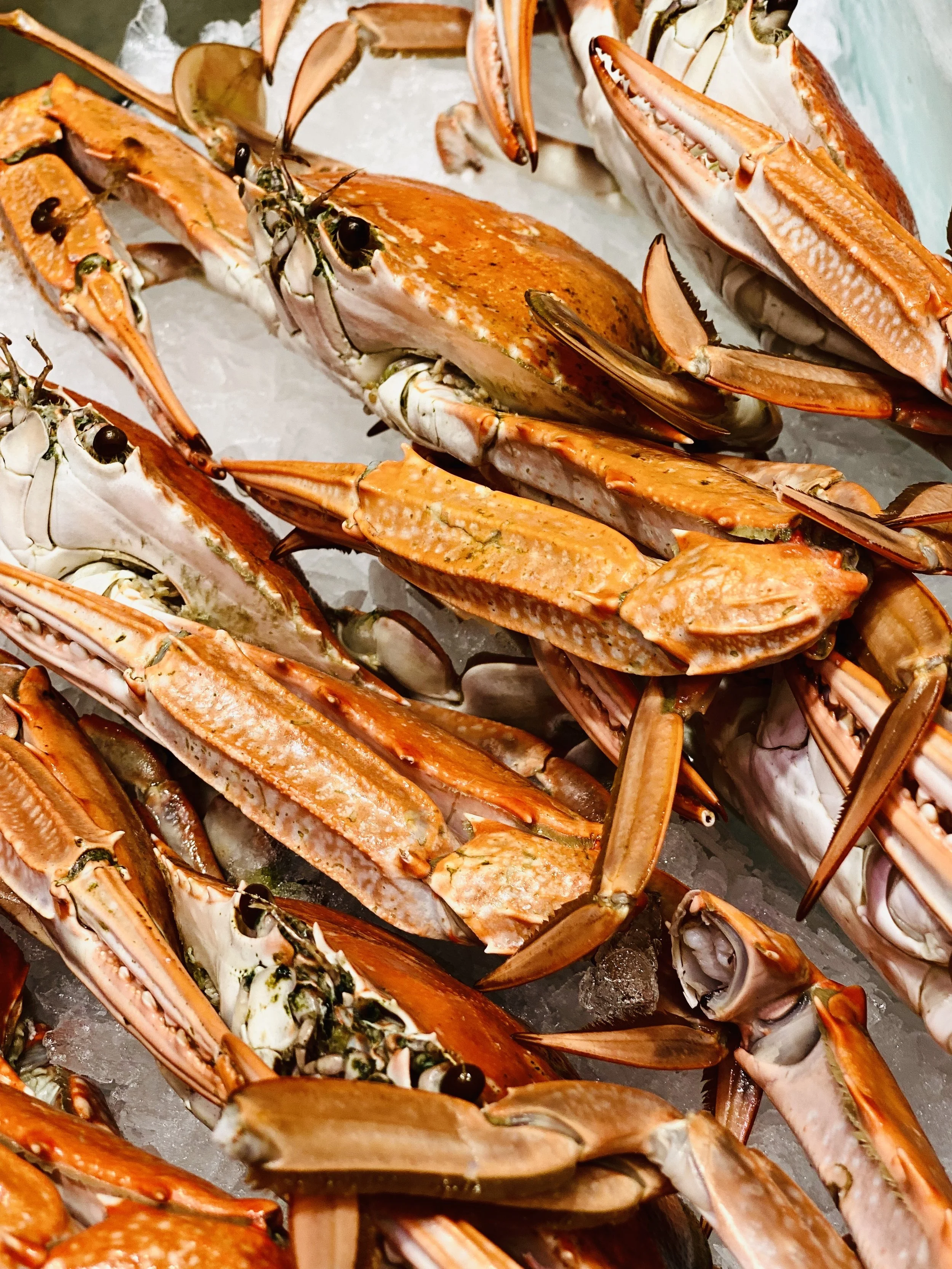Costis Fresh Seafood