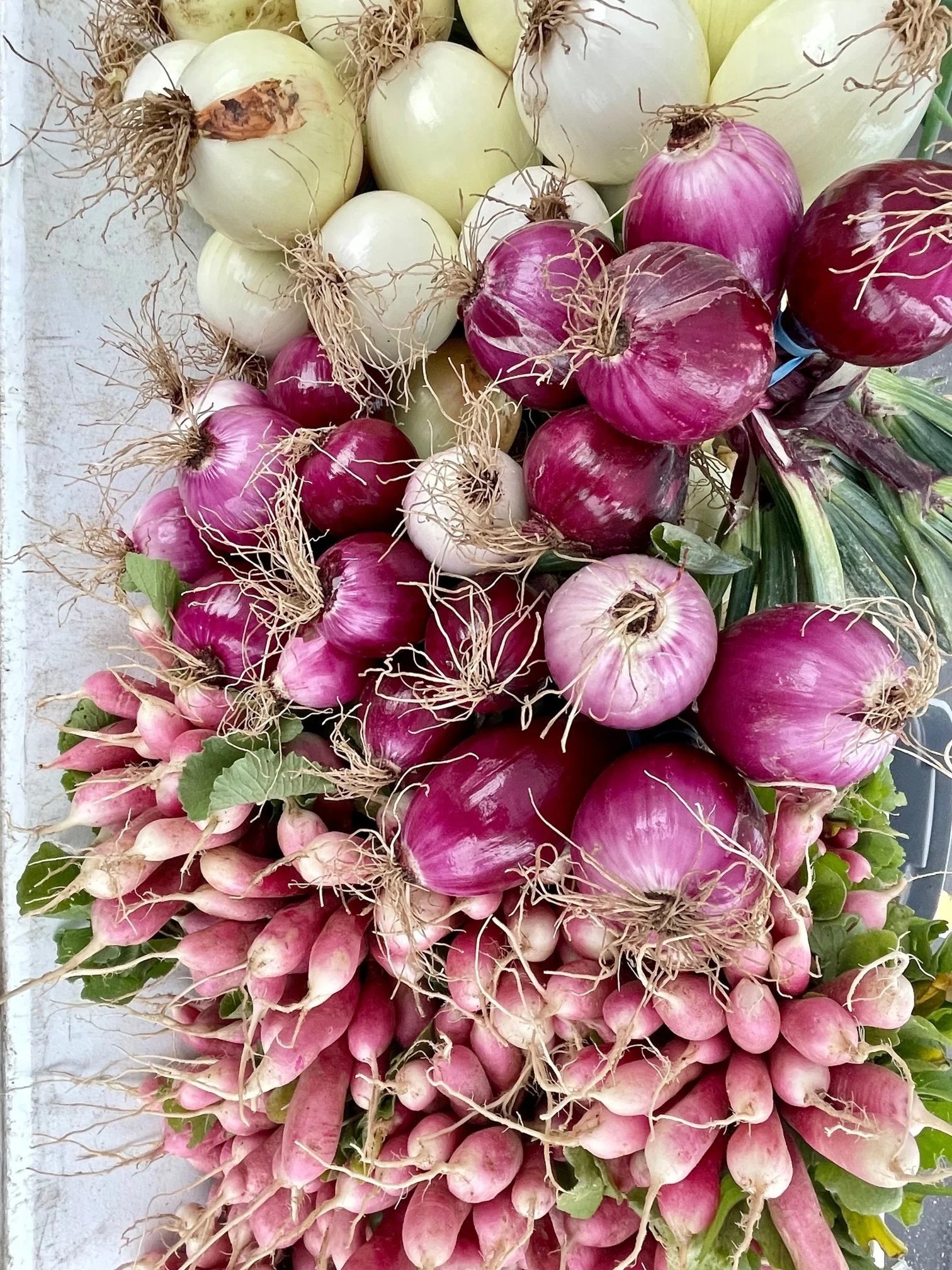 Fox Point Farmers' Market