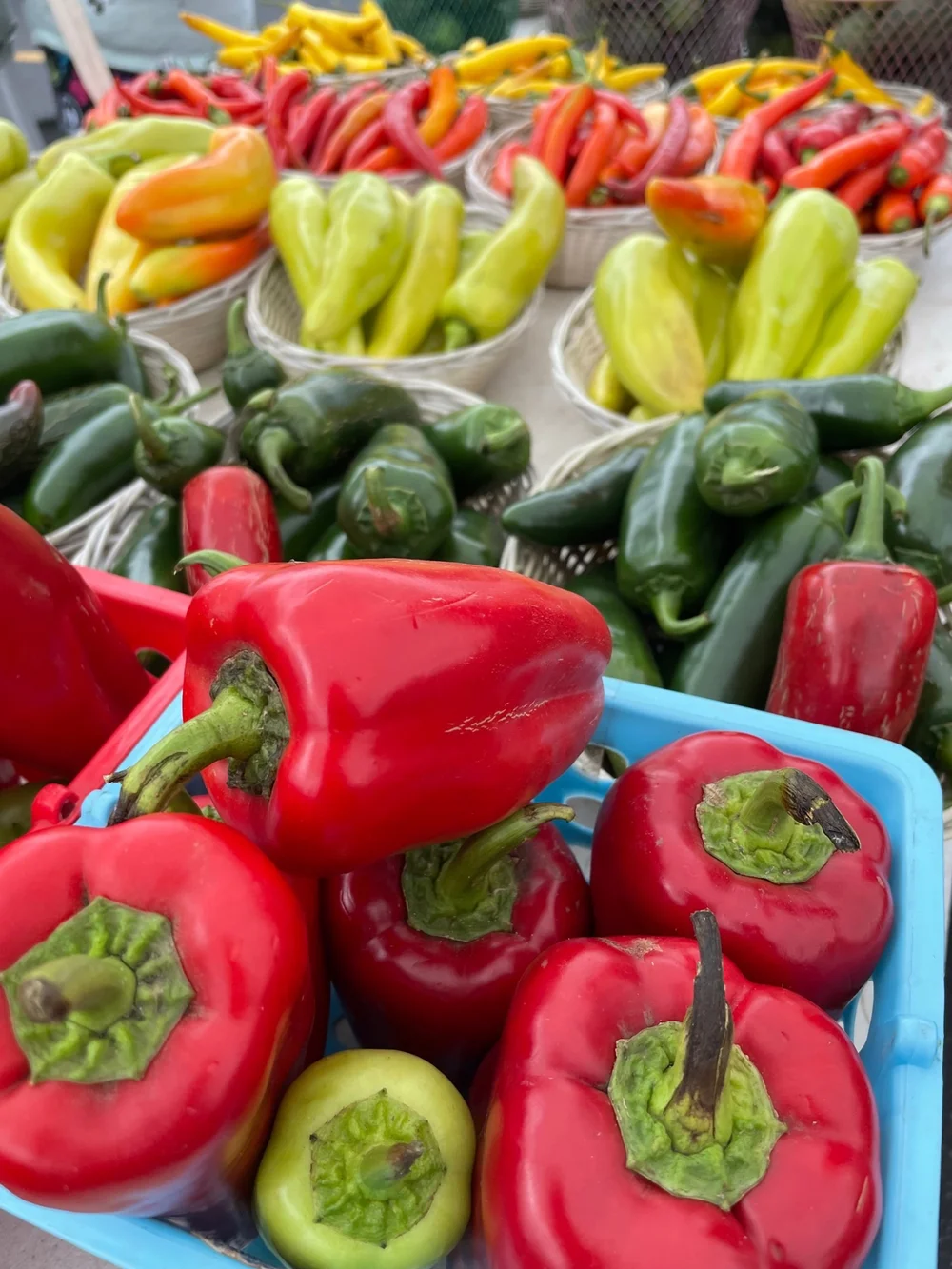 Fox Point Farmers' Market