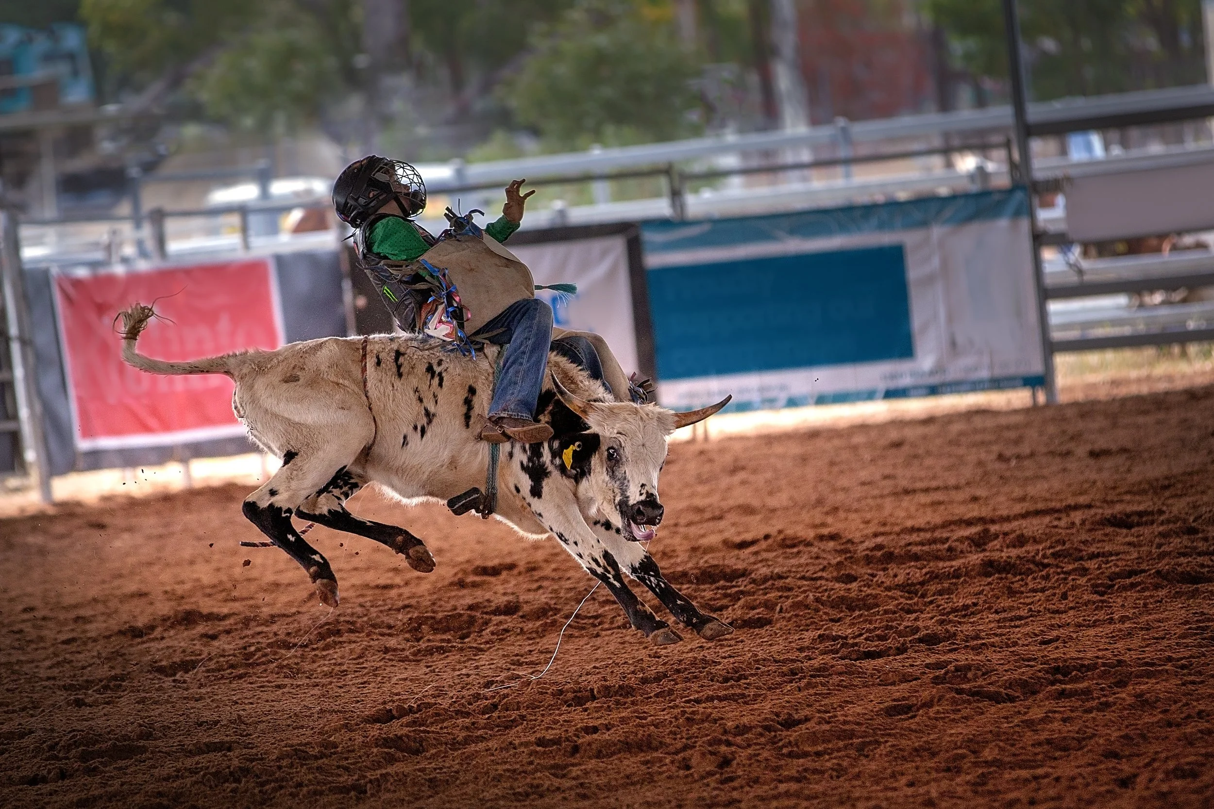 Mid-South Little Britches Rodeo Association