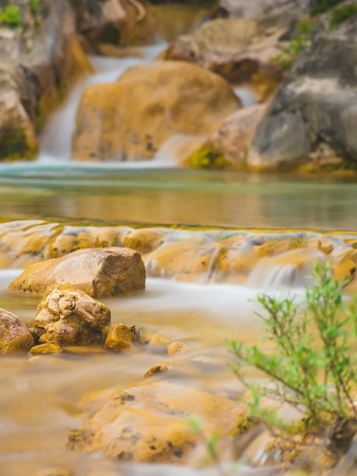 Lymphatic drainage massage: Rainbow Spring Wellness - Mara Levy