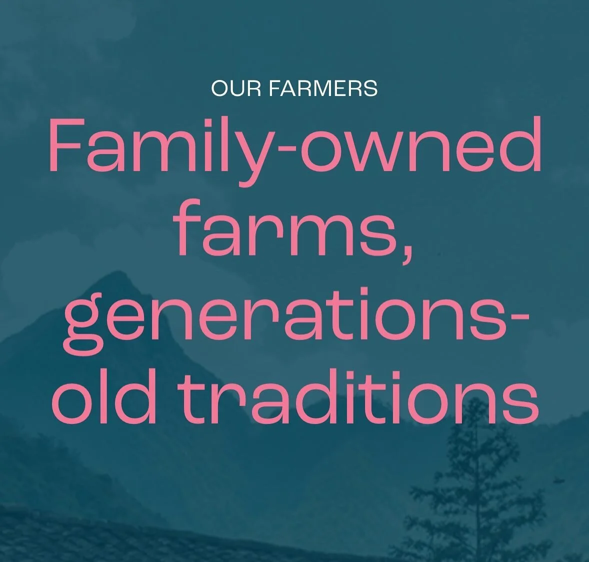 Jinx Tea. Cleverly crafted. Culinary inspired.