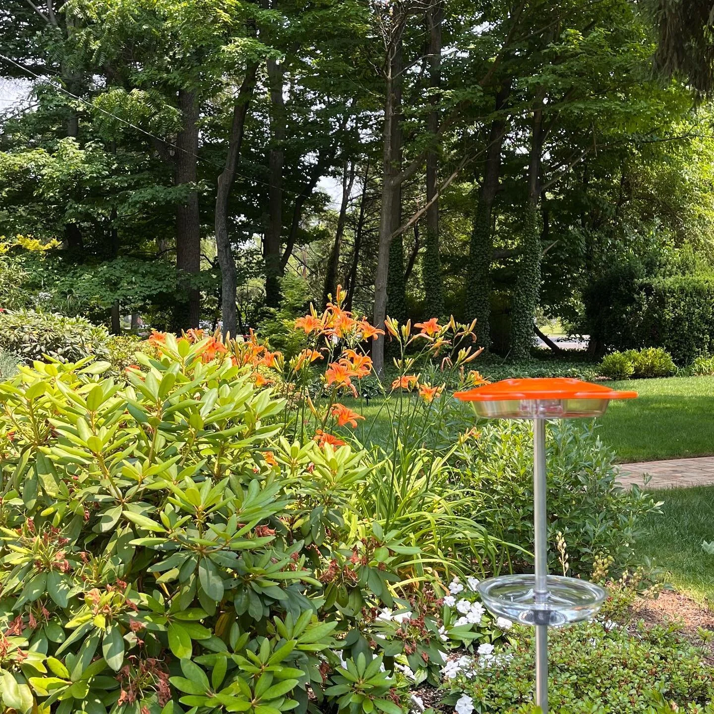 The Ant-Mote™ - An Ant Moat