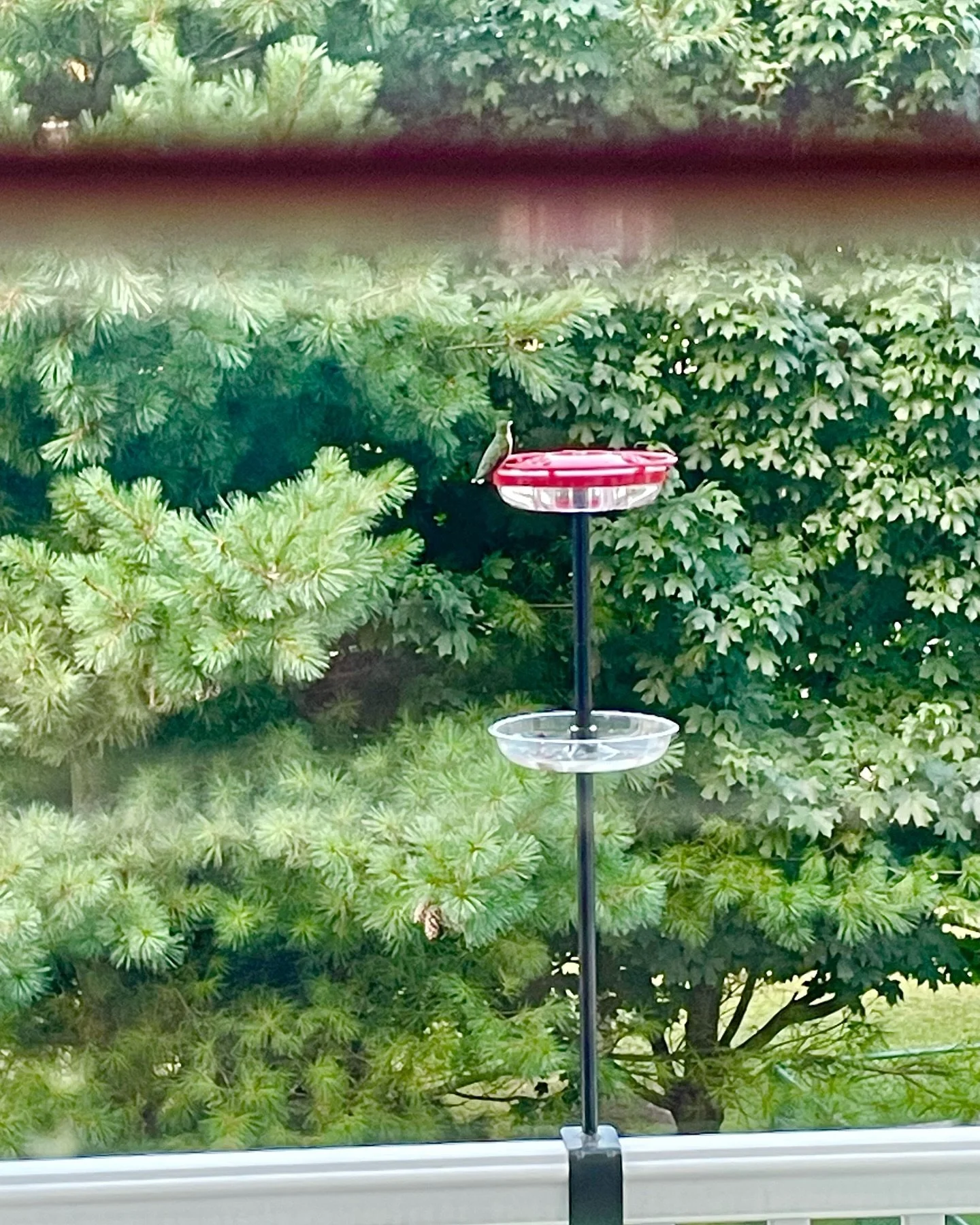 The Ant-Mote™ - A new kind of ant moat.