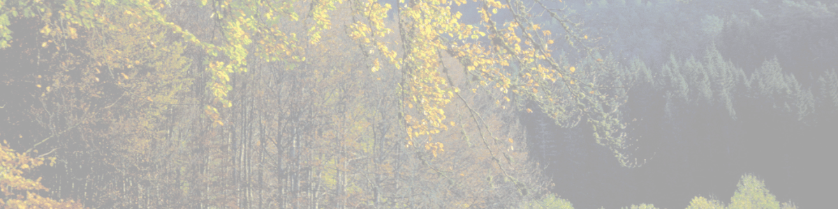 Foreningen Mot Psykisk Vold | Øk bevisstheten - Forståelse hjelper