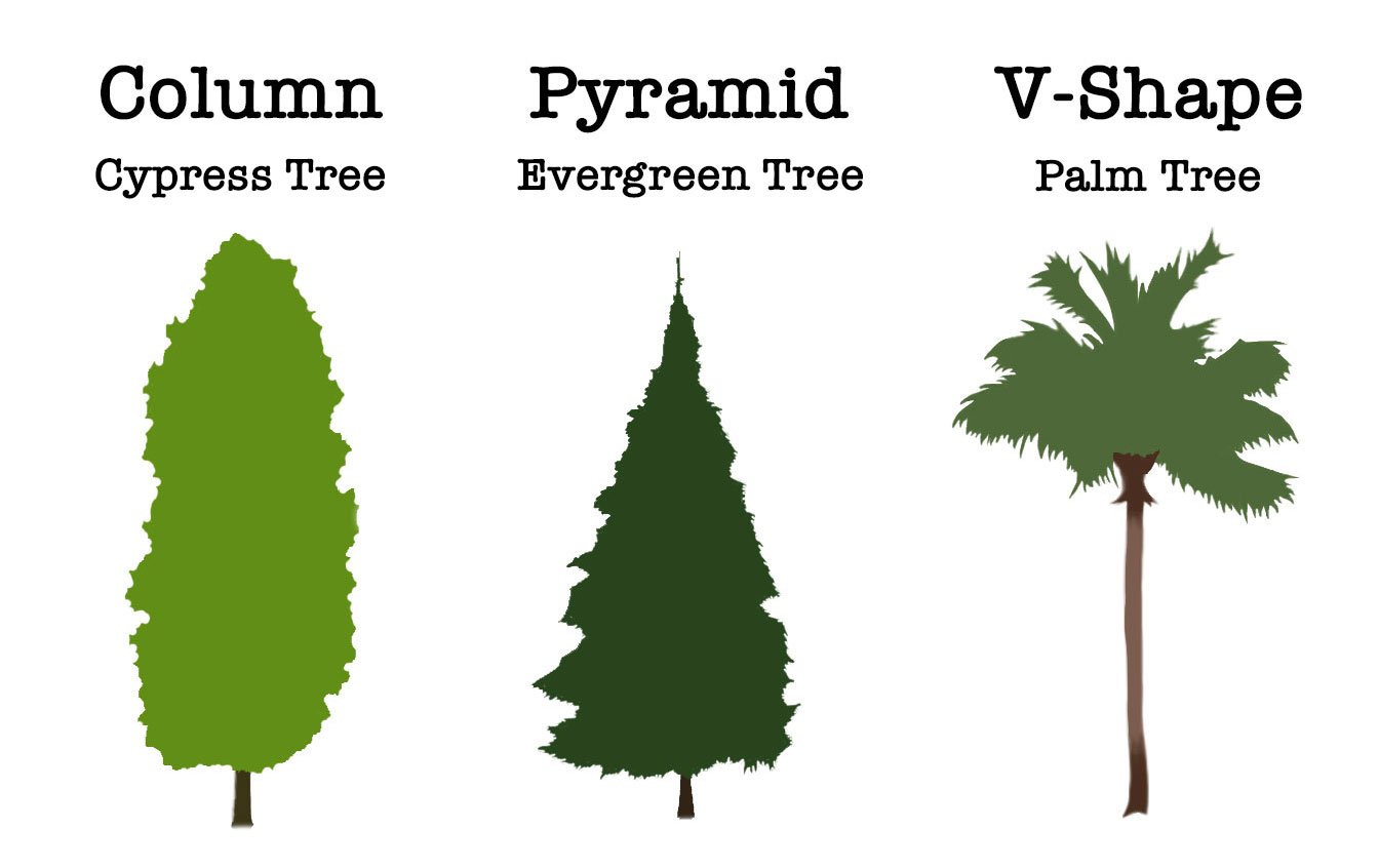 Elizcardinal Styling