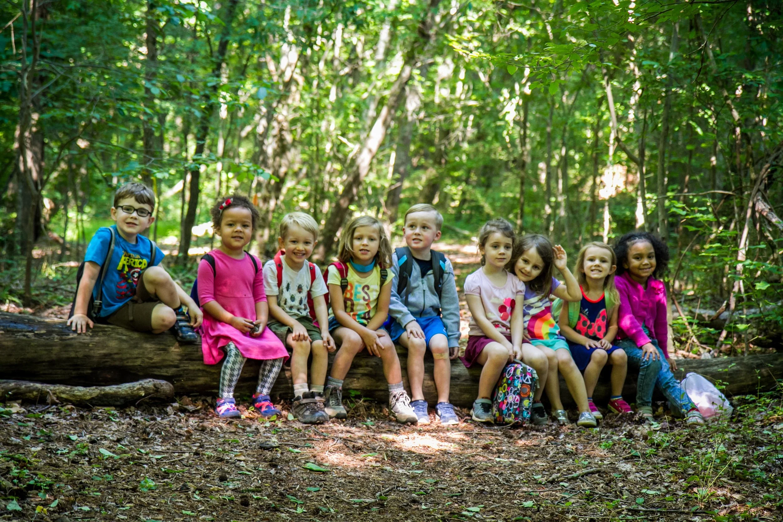Forest Preschool — Woodland Discovery