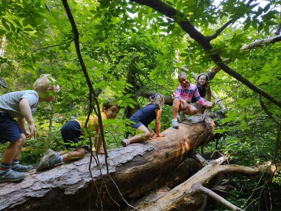 Forest Preschool — Woodland Discovery