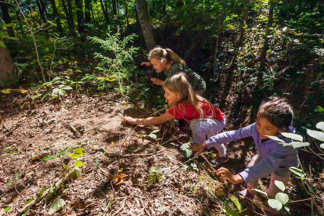 Forest Preschool — Woodland Discovery