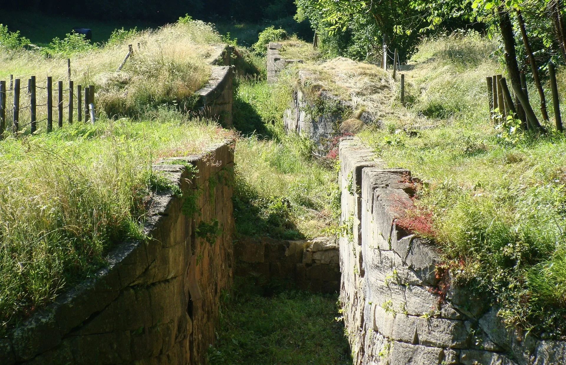 KEEVIL ROOTS Summer Festival