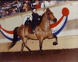 About 4 — Kyhlwood Training