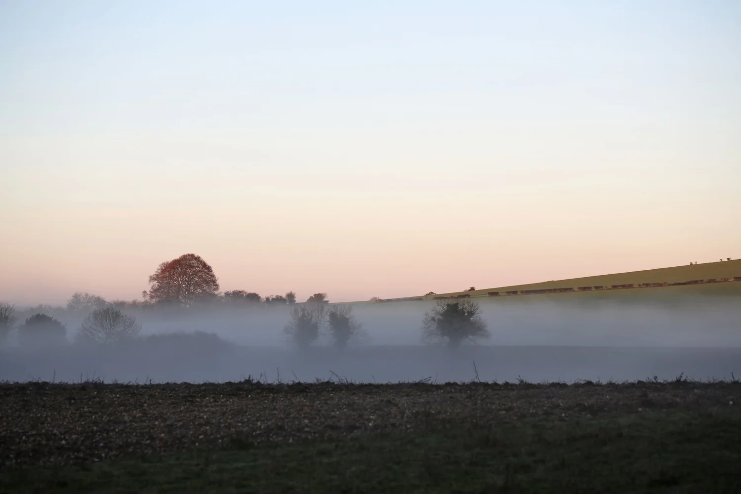 Cholderton Estate