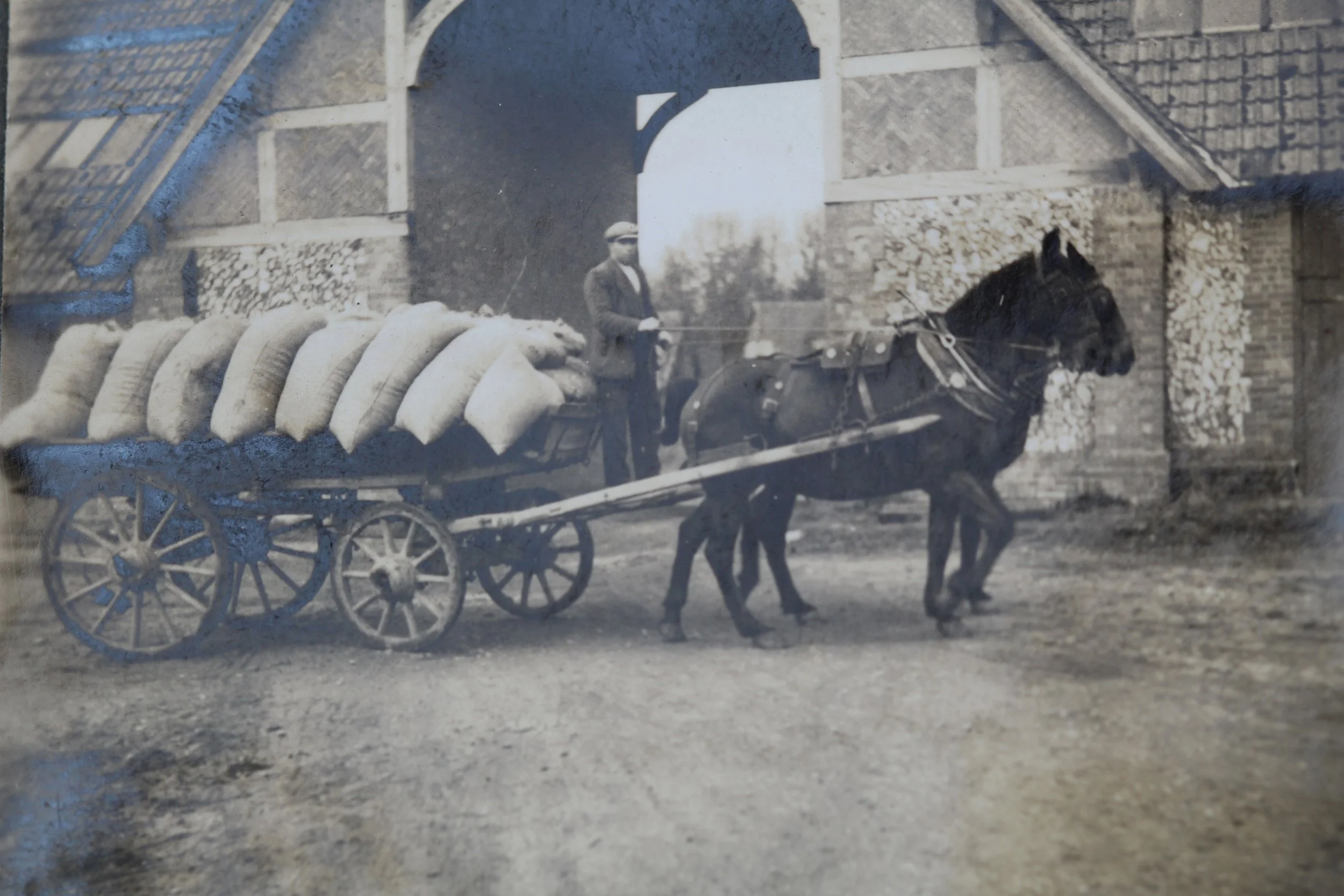 About — Cholderton Estate