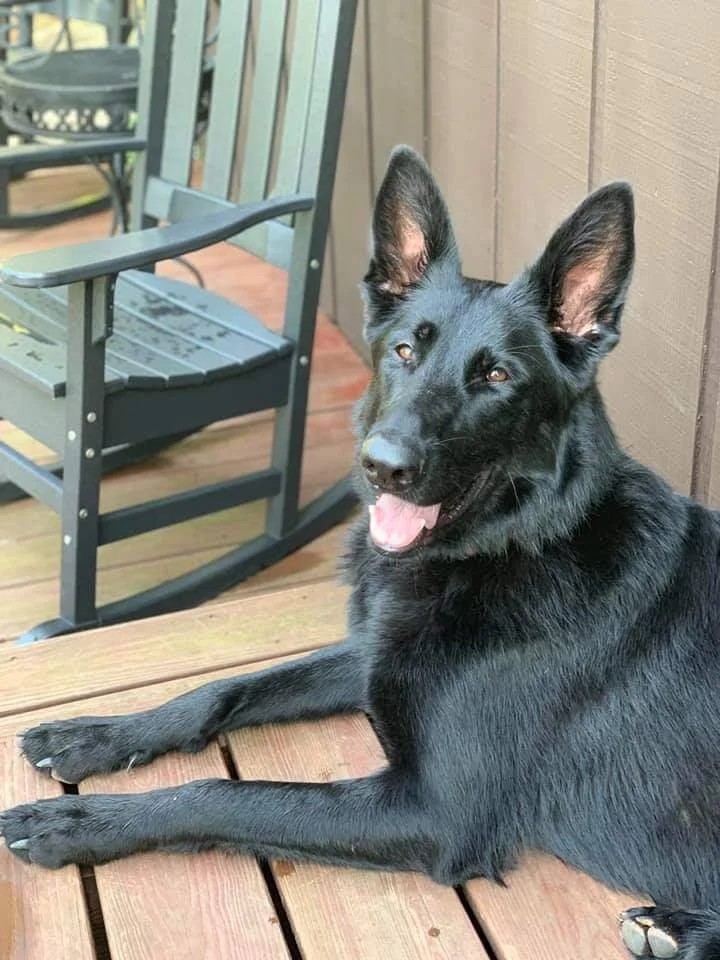 Black Dog Acres, LLC | Plan Your Visit Today