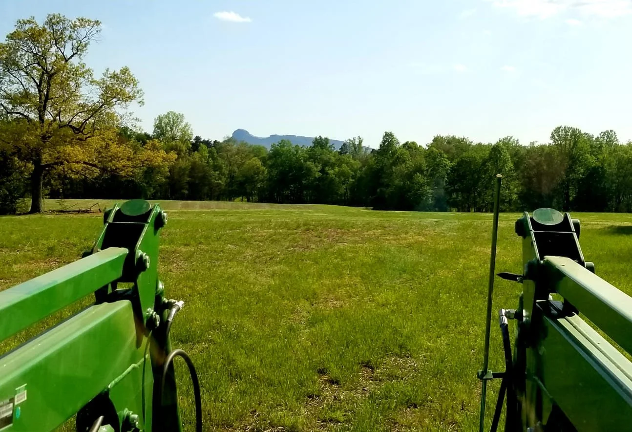 Local Farms and Produce | Explore Local Delights — Black Dog Acres, LLC