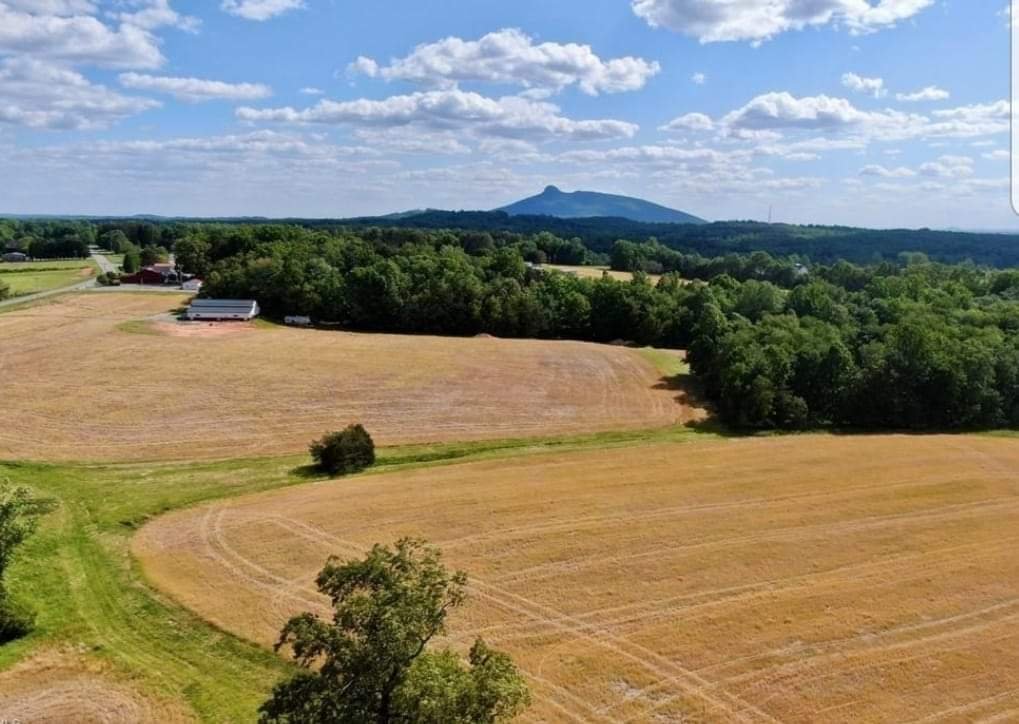 Black Dog Acres, LLC