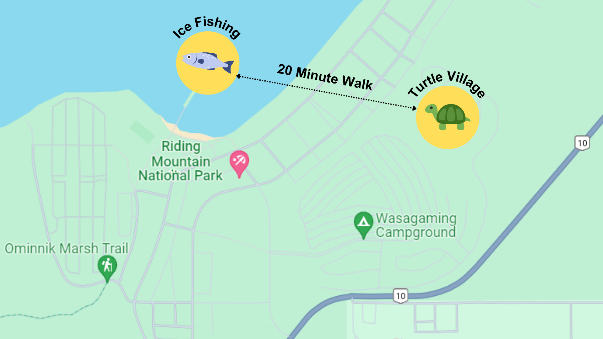 Turtle Shells — Turtle Village in Wasagaming, Manitoba