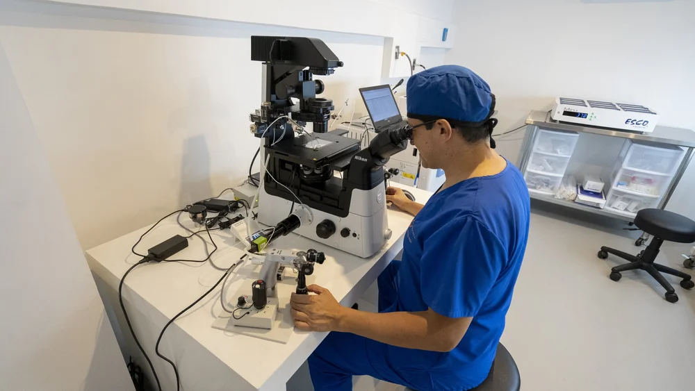 Quiénes somos — Procrea