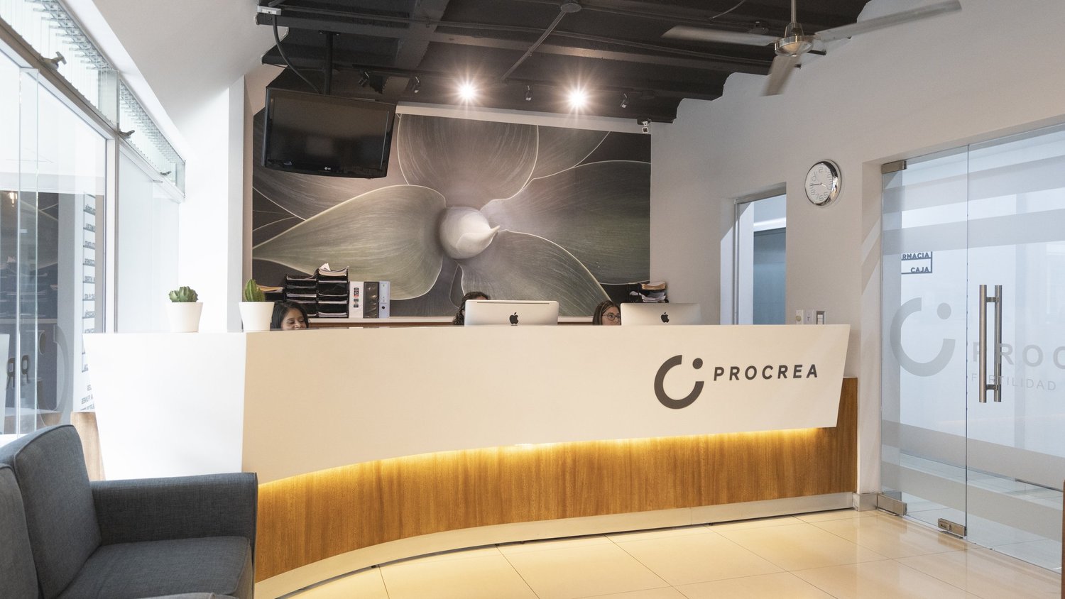 Quiénes somos — Procrea