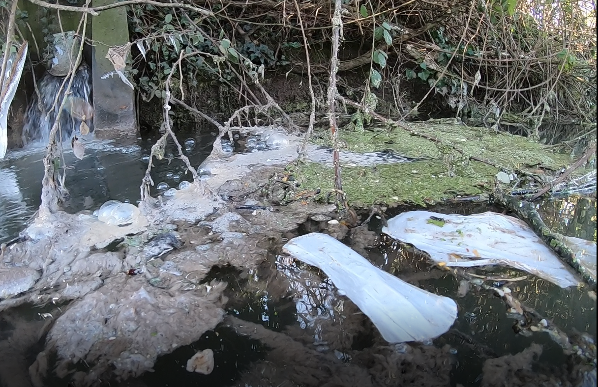 “That’s what happens when you swim in shit”. Water companies face legal ...