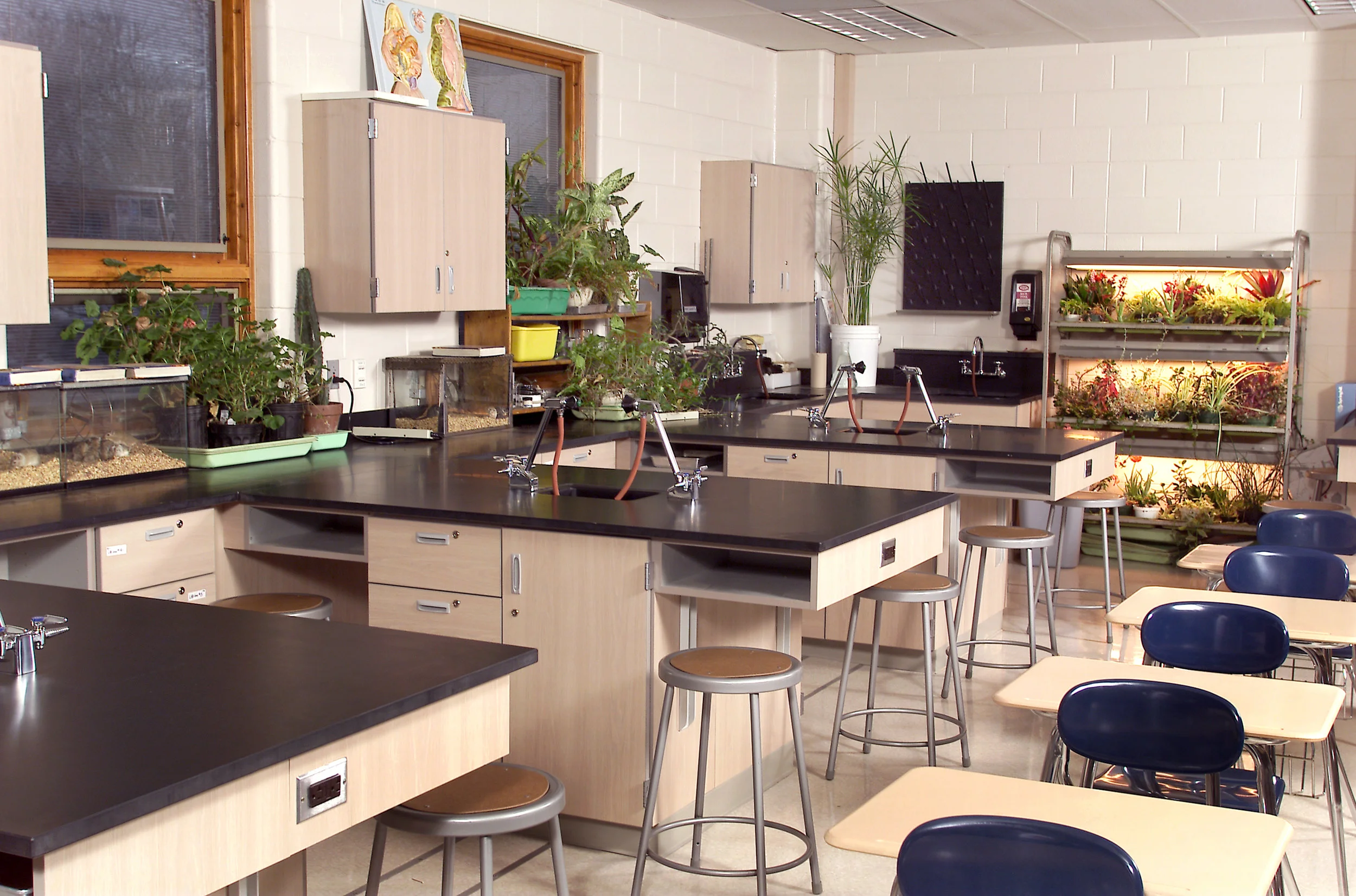 LAB CASEWORK — LABSCAPE