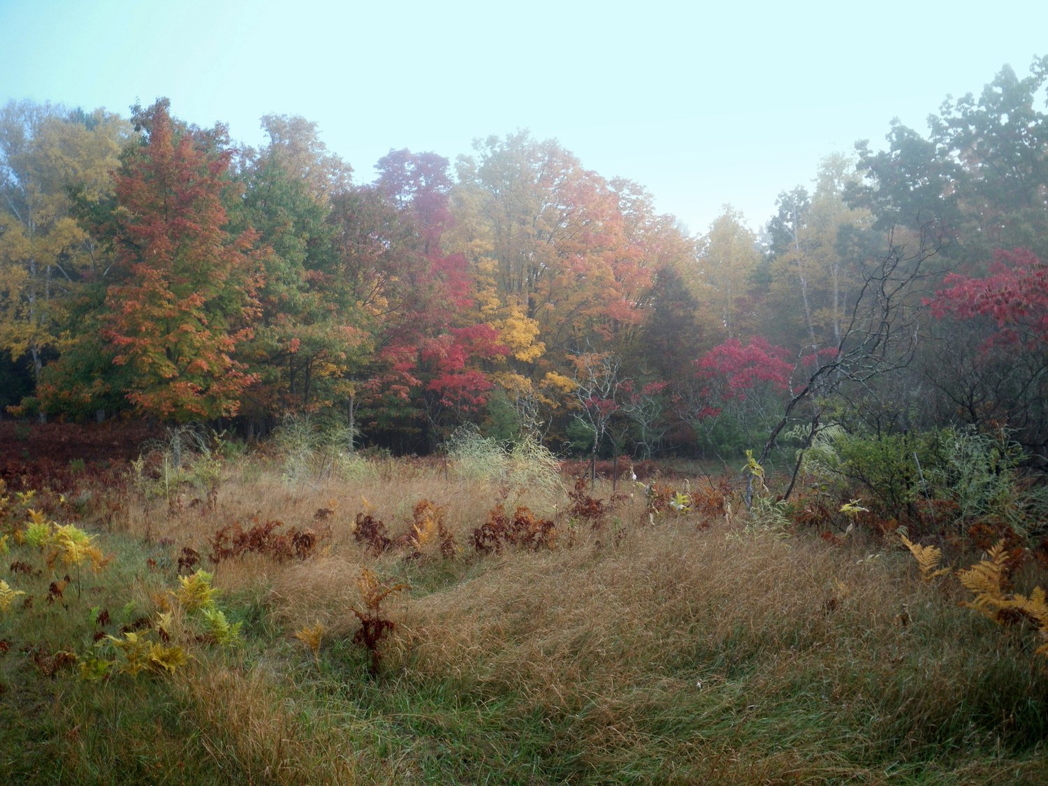 Images of Potter's Farm — Potter's Farm Retreat Center