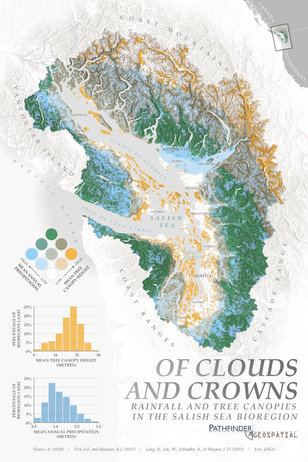 Of Clouds and Crowns — Pathfinder Geospatial