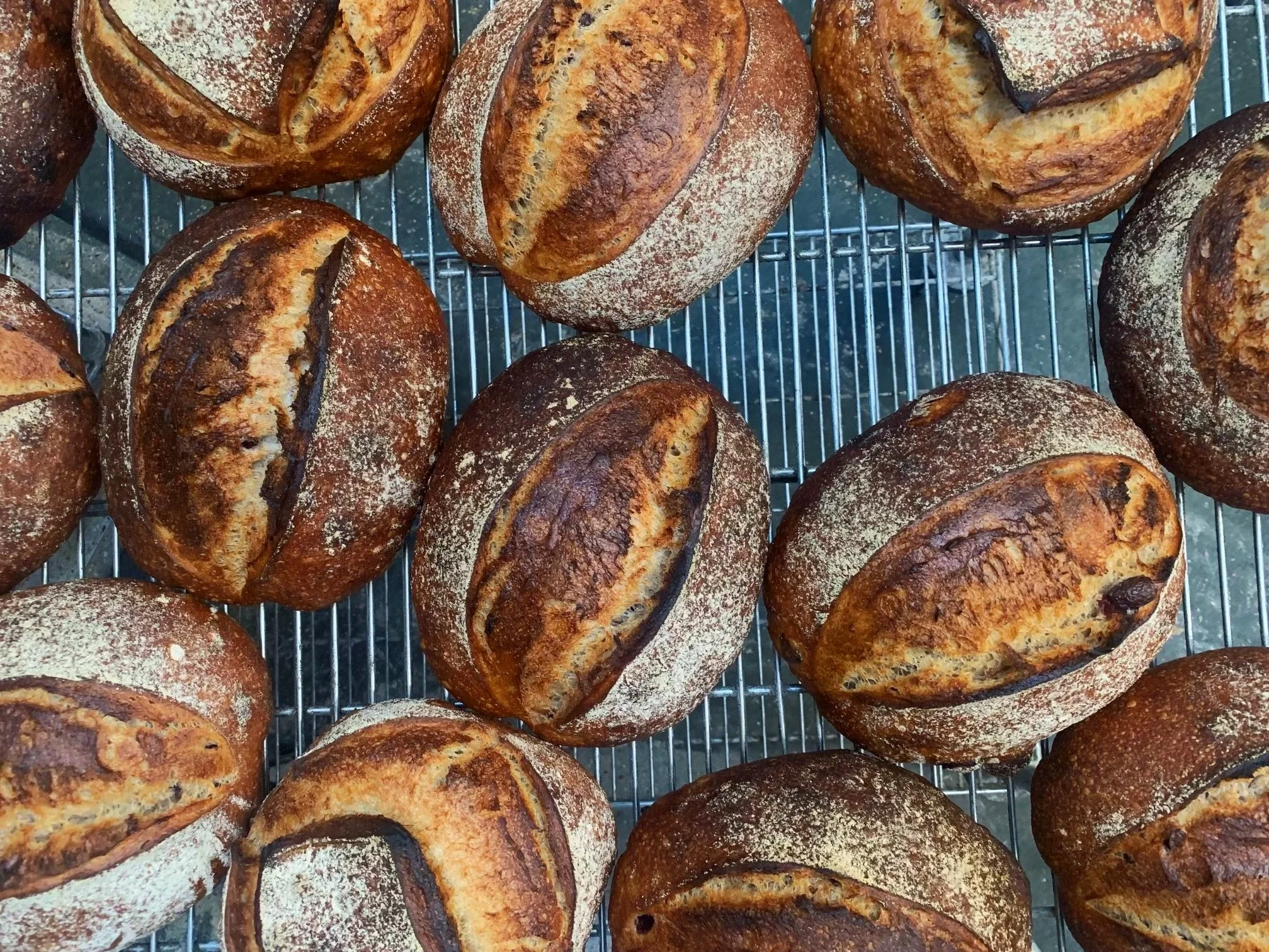 WIDE AWAKE BAKERY