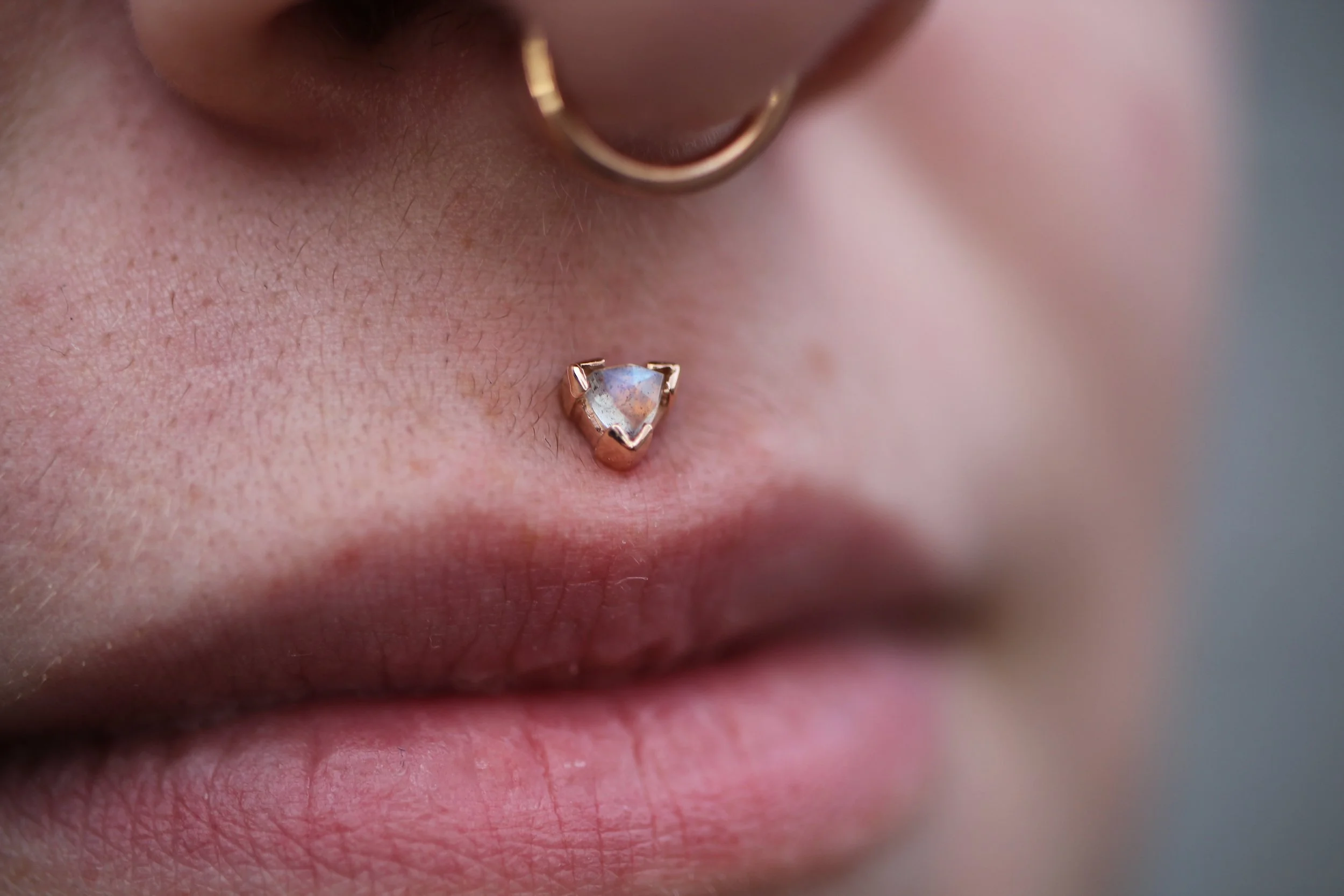 Piercings | Professional Piercings Now - Book Today — KOI Piercing Studio