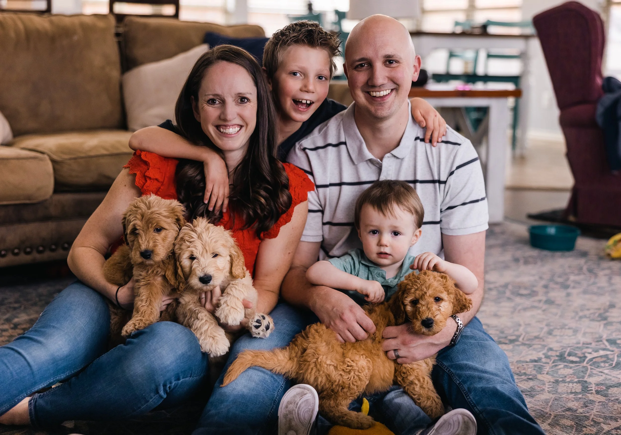 Reputable Goldendoodle Breeders In Dallas TX | Goldendoodle Puppies