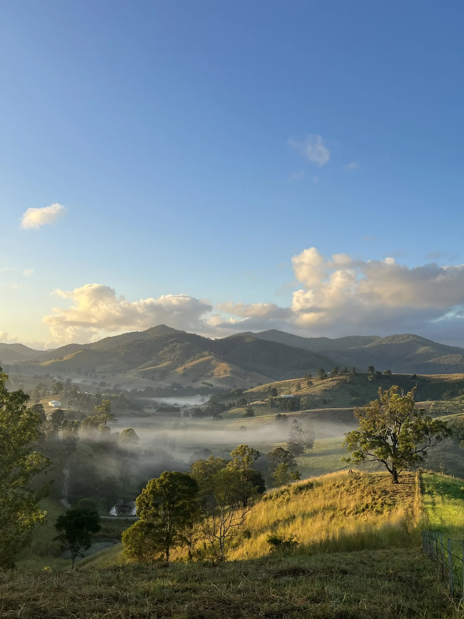 Lacey's Creek Homestead & Vineyard