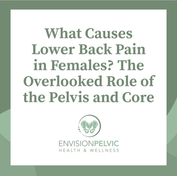 What Causes Lower Back Pain in Females? The Overlooked Role of the ...