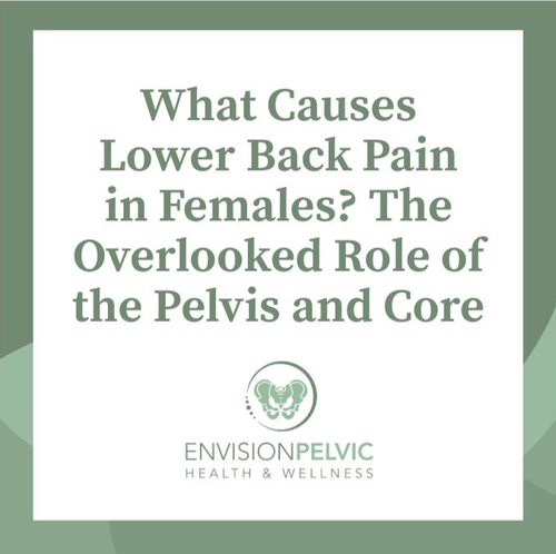 What Causes Lower Back Pain in Females? The Overlooked Role of the ...