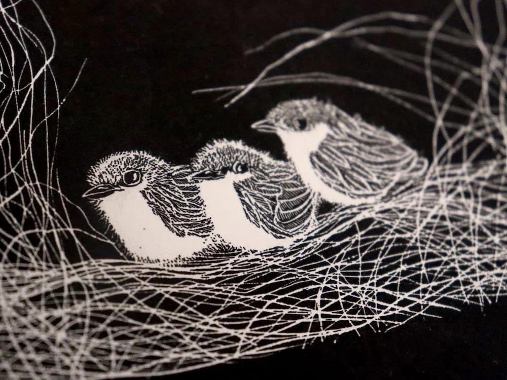 Scraperboard Workshop — The Old Auction House Creative Hub & Gallery ...