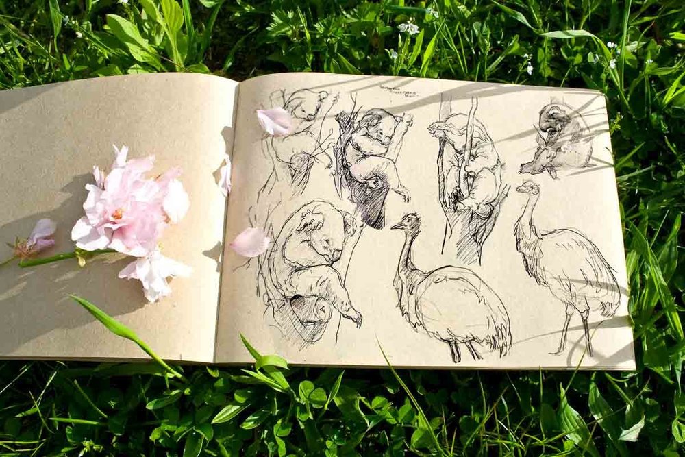 Nature Journaling Workshop - Matha Iserma — The Old Auction House ...