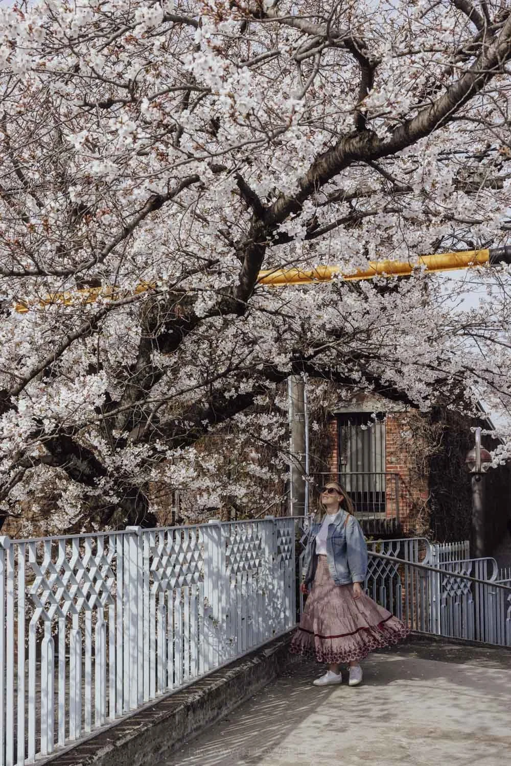 Japan Packing List: What to wear in Spring — Bronwyn Townsend