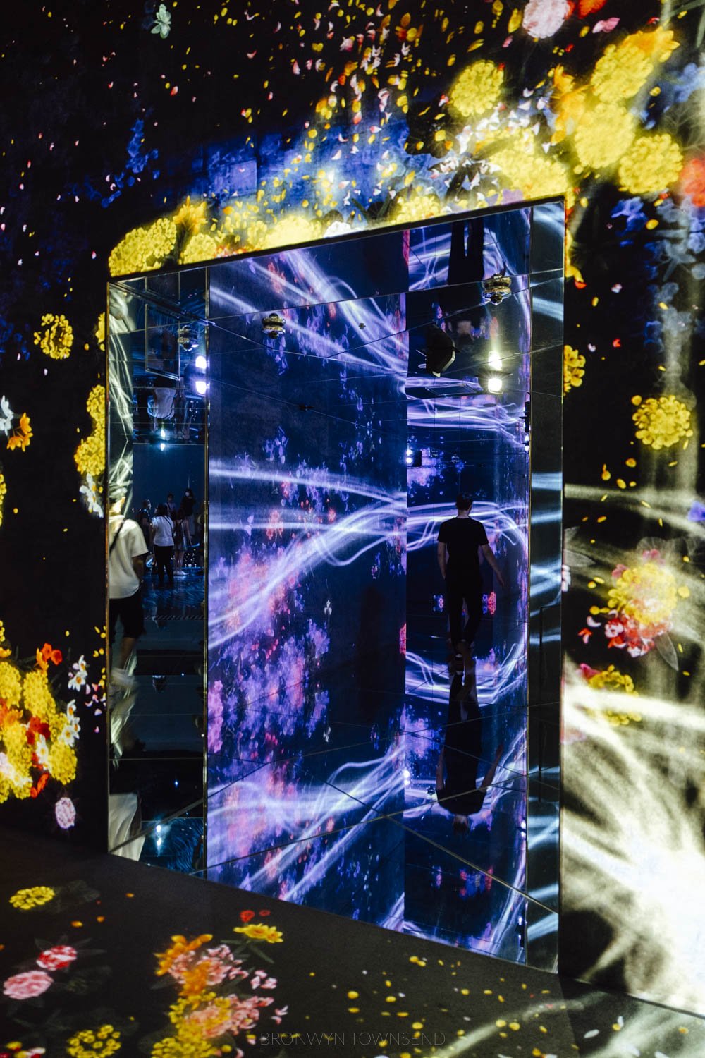 TeamLab Borderless vs TeamLab Planets: Which is better for you ...